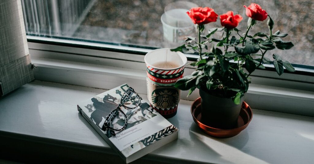 9 Inspiring Celebrity Memoirs by Black Women - The Hooting Owl